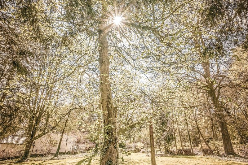 Traumaklinik - Traumatherapie an einem sicheren, heilsamen Ort